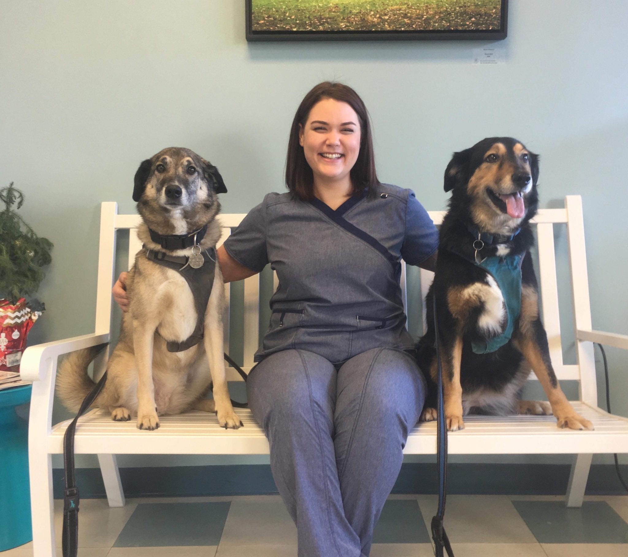 Our Team in Herndon, VA | Franklin Farm Veterinary Clinic